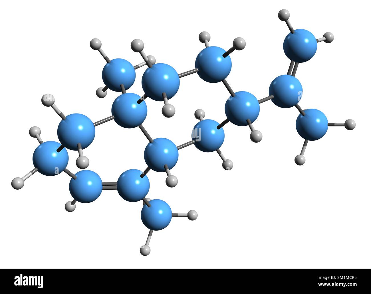 3D image of Selinene skeletal formula - molecular chemical structure of ...
