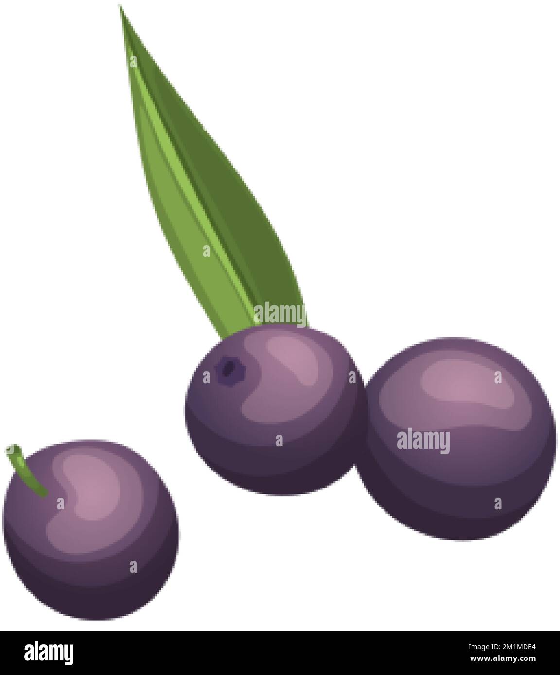acai berry cartoon vector illustration Stock Vector Image & Art - Alamy
