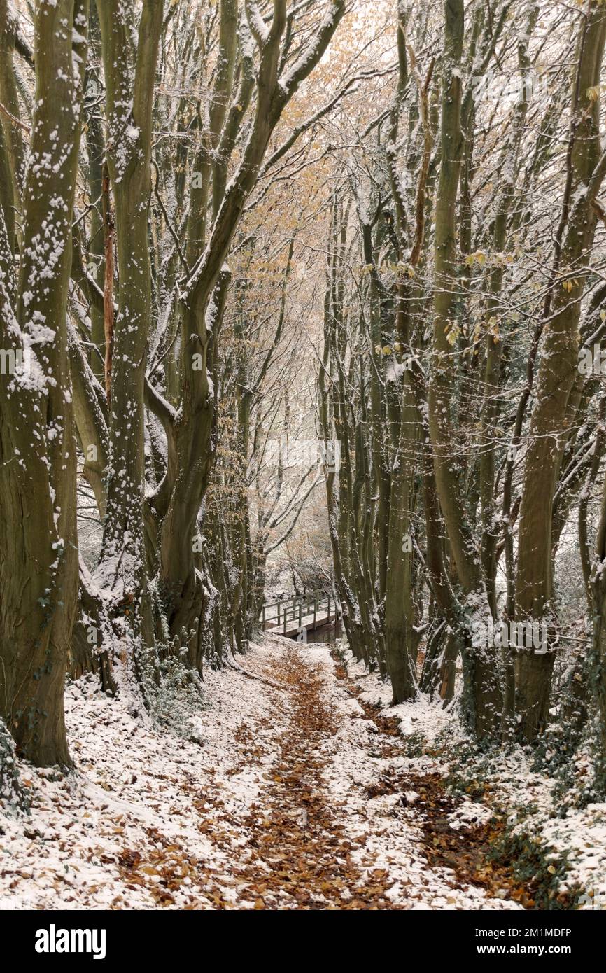 Snow in Haycombe Bath Stock Photo - Alamy