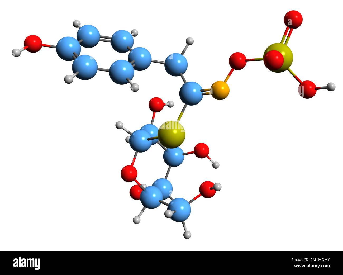 3D image of Sinalbin skeletal formula - molecular chemical structure of ...
