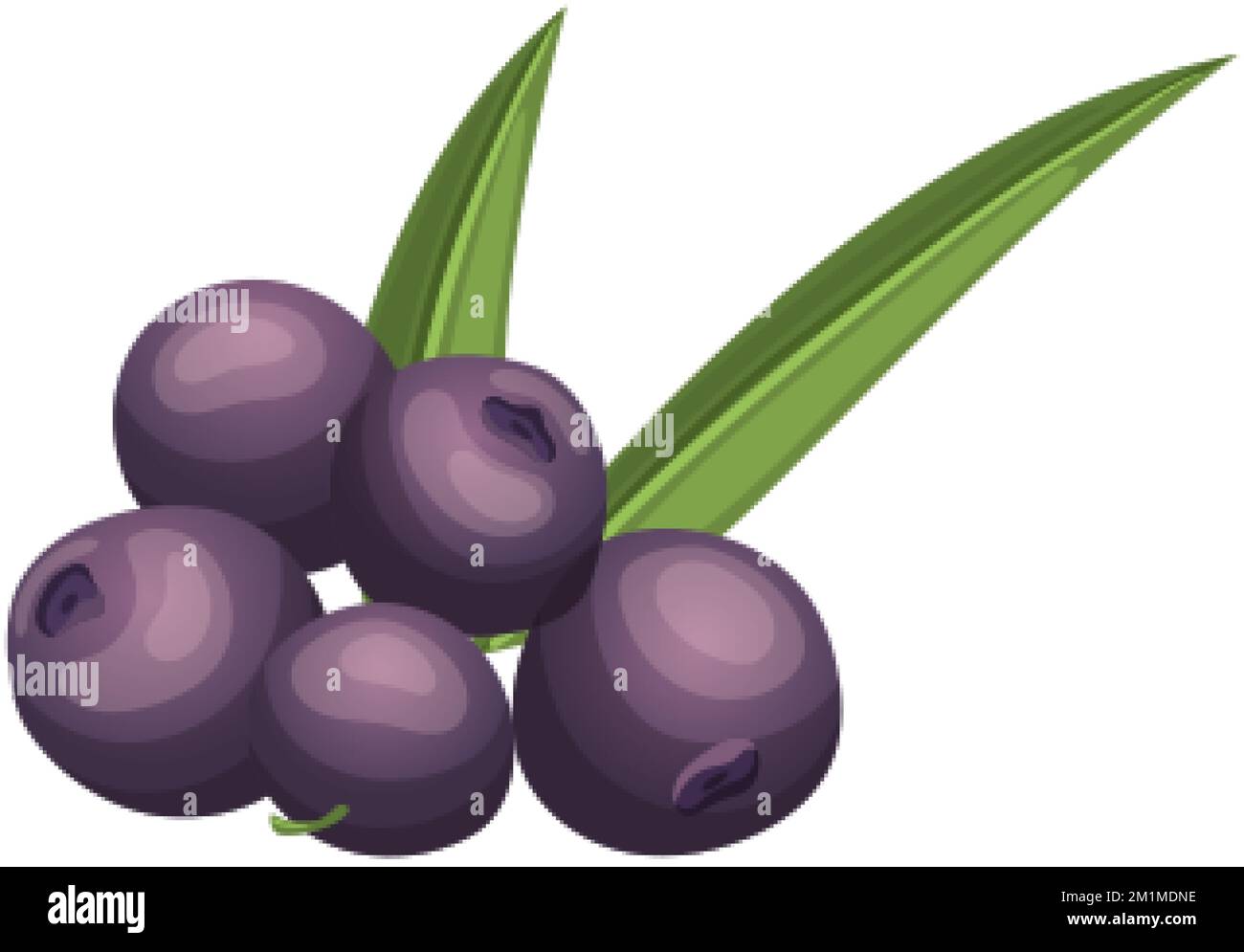 acai food fruit cartoon vector illustration Stock Vector Image & Art ...