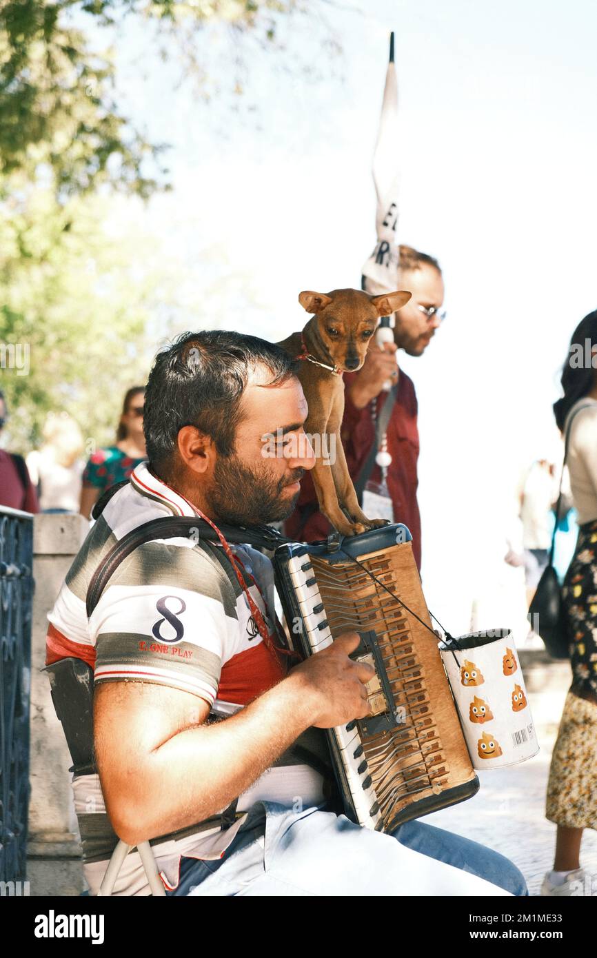Busker with dog hi-res stock photography and images - Alamy