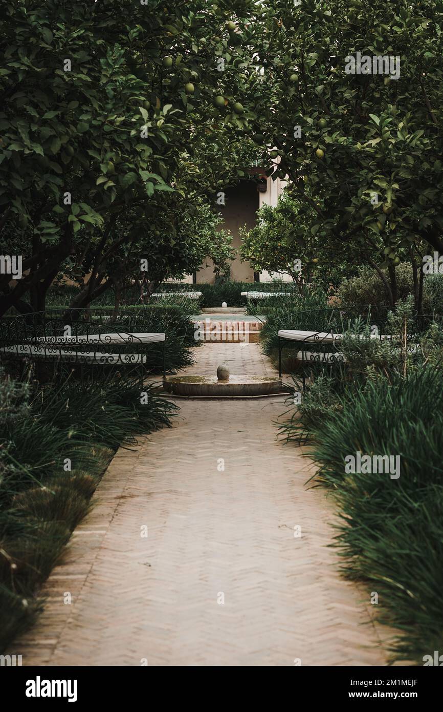 Pathways leading through the Secret Garden in Marrakech Morocco Stock ...