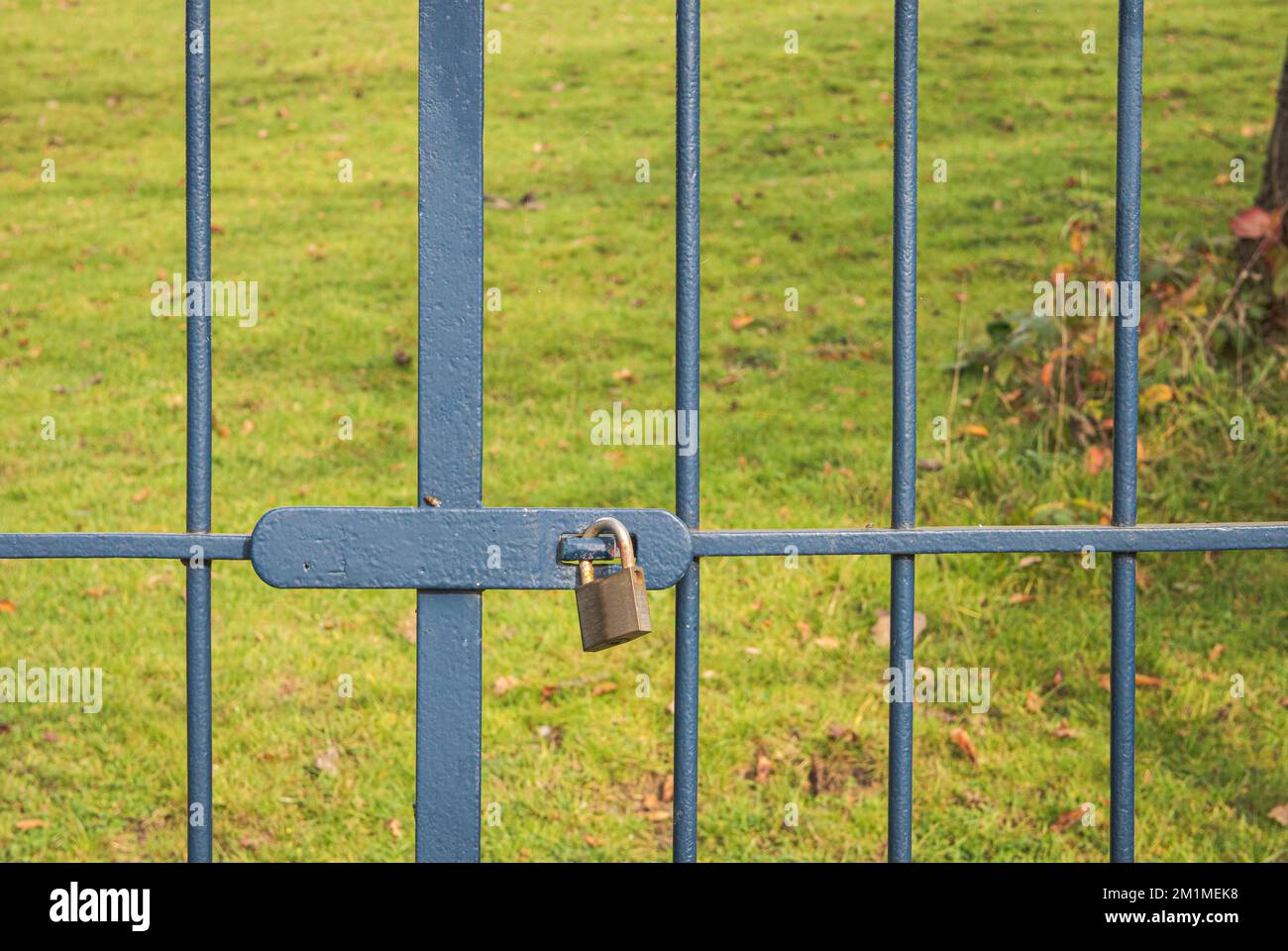 Fragment of a closed metal gate with a padlock. The fly sits on the ...