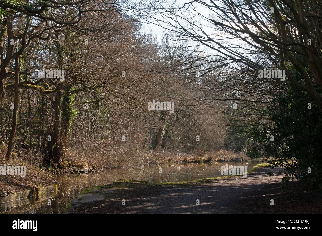 The Macclesfield Canal on a cold winter day at Higher Poynton Cheshire ...