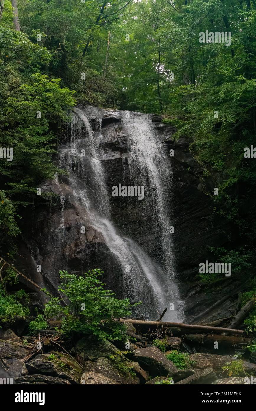 A small waterfall on rocks surrounded by greenery in a forest in the ...
