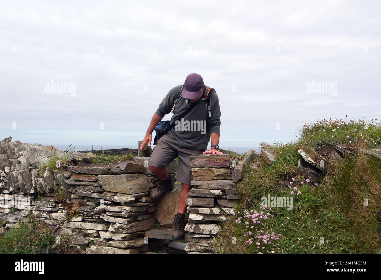 Man Climbing Awkward Tight High Stone Slate Stile near Tintagel on the ...