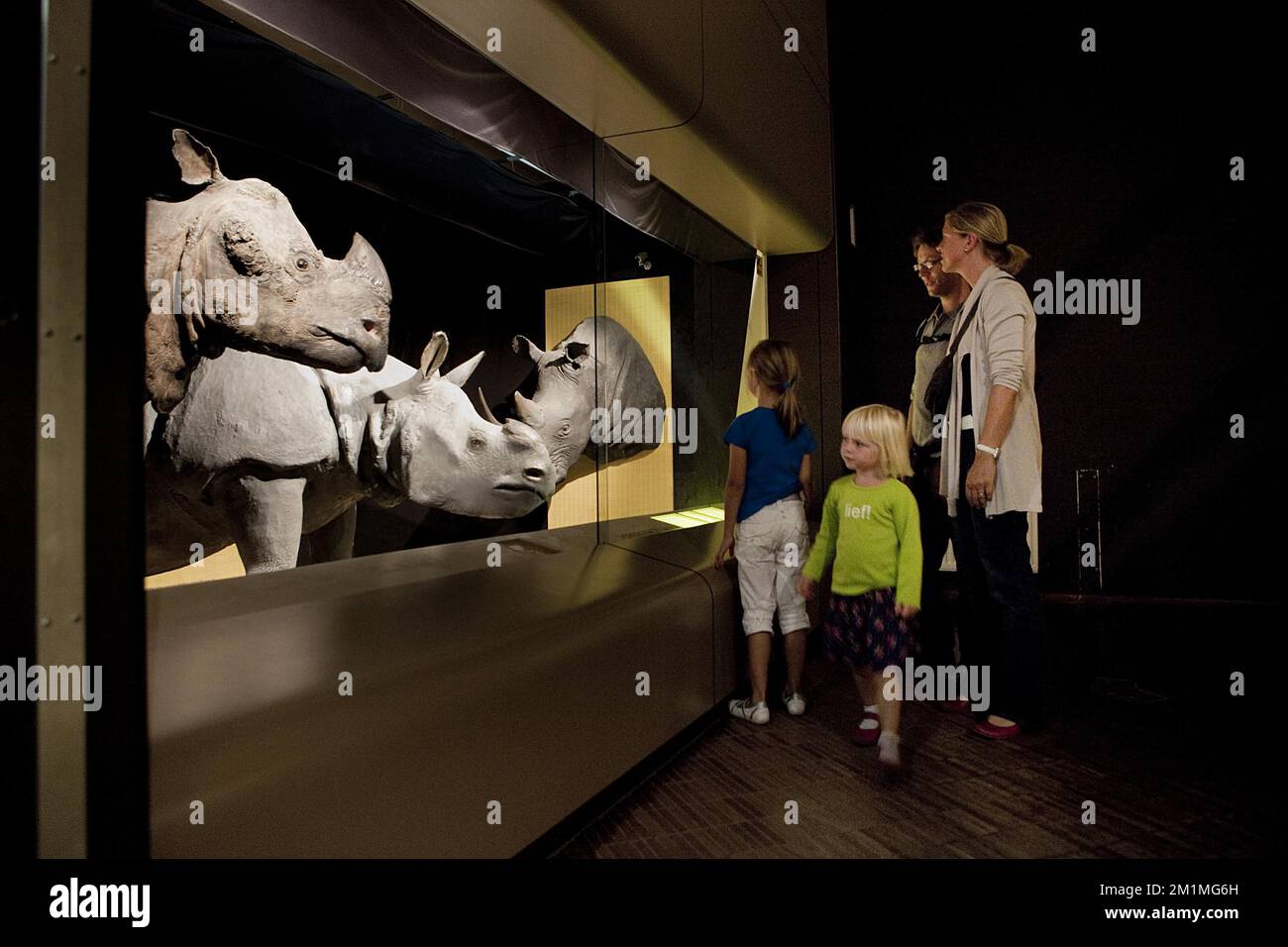 With sawed off horn hi-res stock photography and images - Alamy