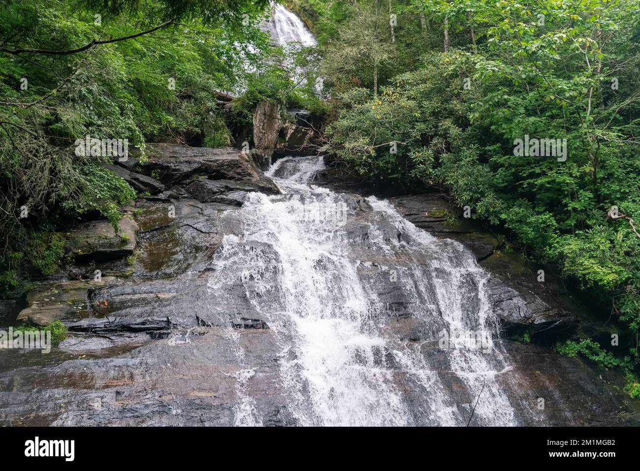 A small waterfall on rocks surrounded by greenery in a forest in the ...