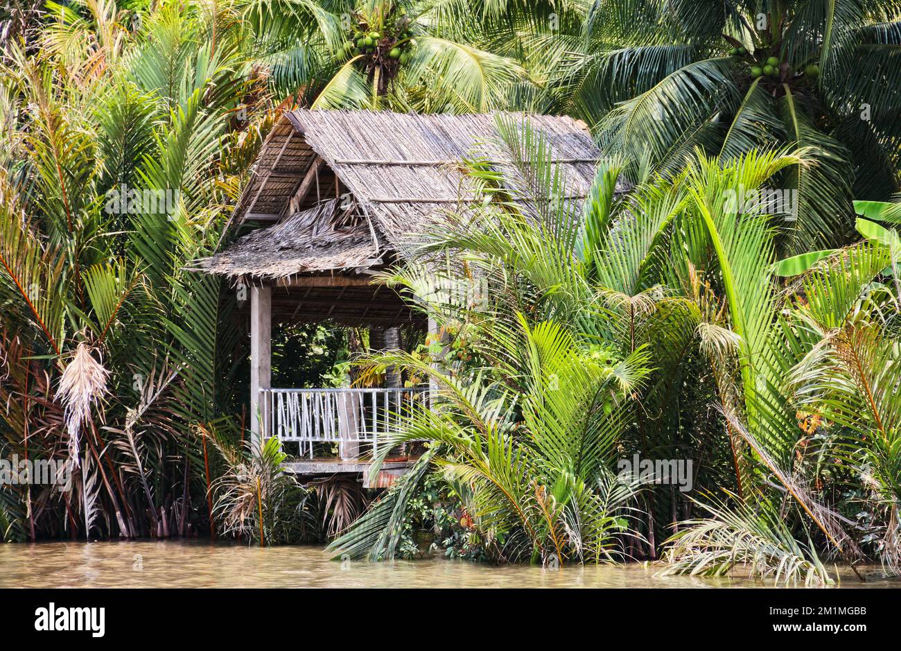 A beautiful building in the jungle of the Mekong River delta in South ...
