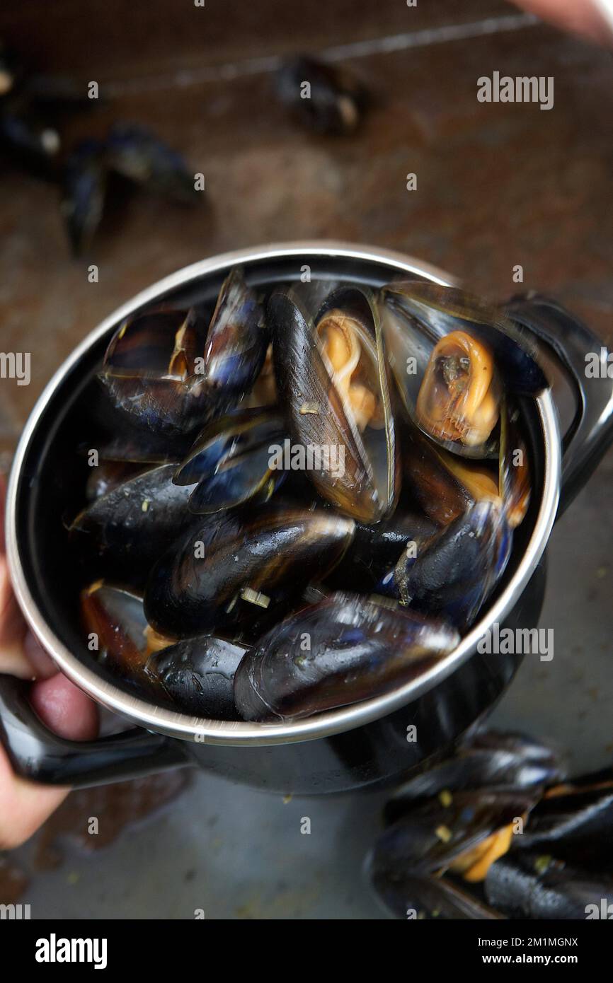 Seafood delicacy moules food sea moule mossel hi-res stock photography ...
