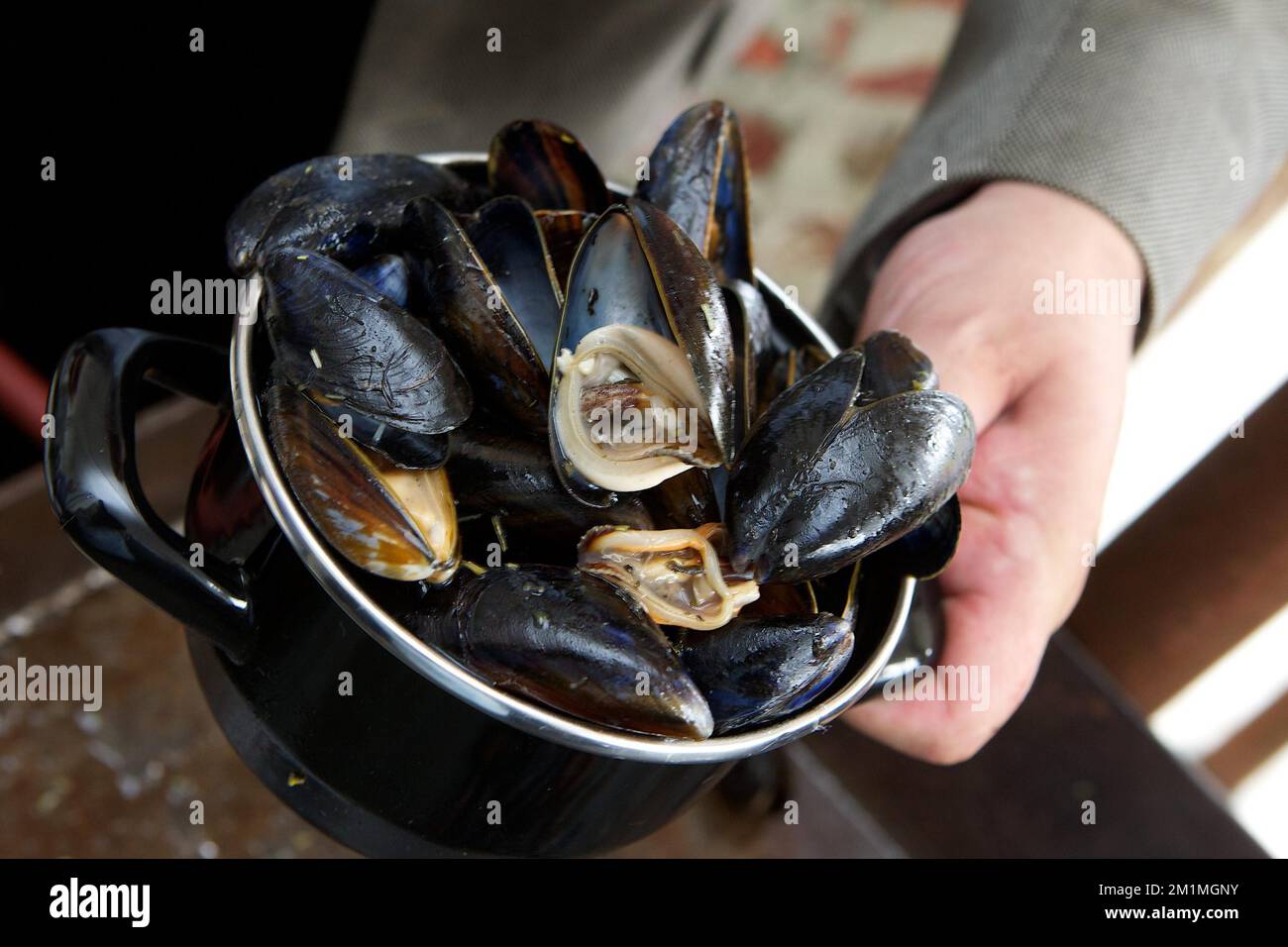 Seafood delicacy moules food sea moule mossel hi-res stock photography ...