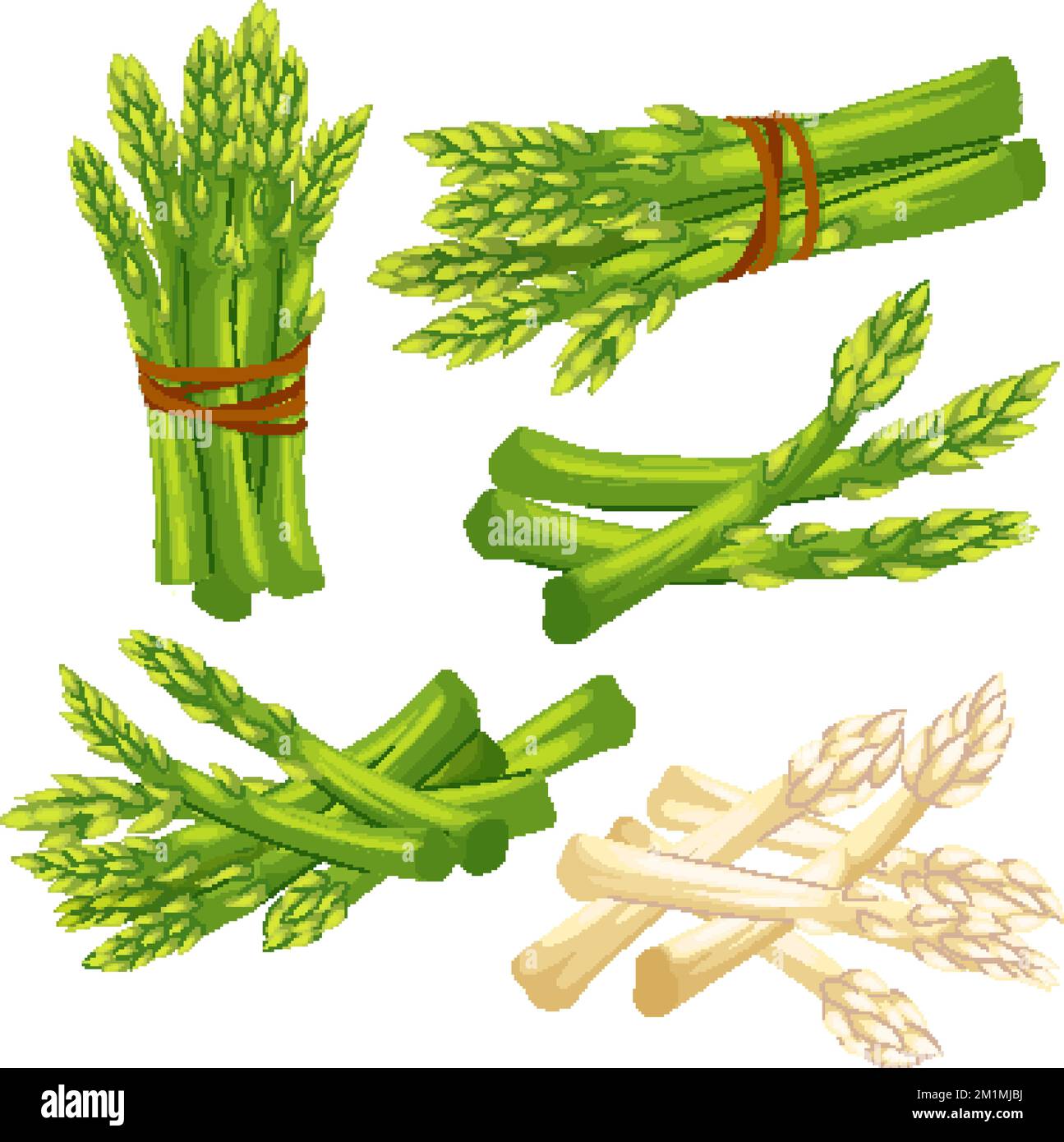 Asparagus Green White Food Set Cartoon Vector Illustration Stock Vector Image And Art Alamy