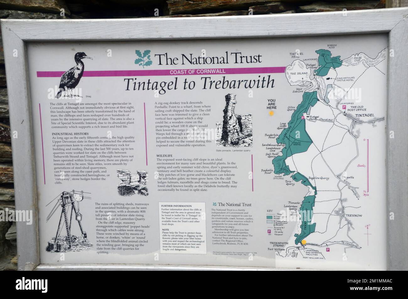 National Trust Information Board for Tintagel to Trebarwith Walk the at ...
