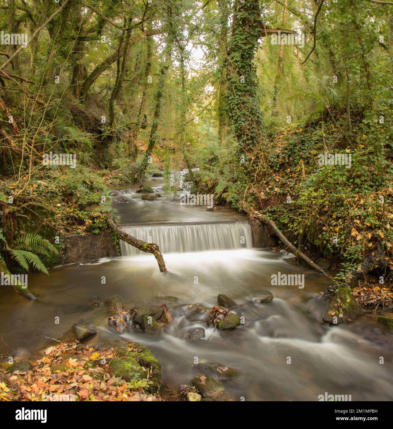 Stream running through Tregargus Valley Stock Photo - Alamy