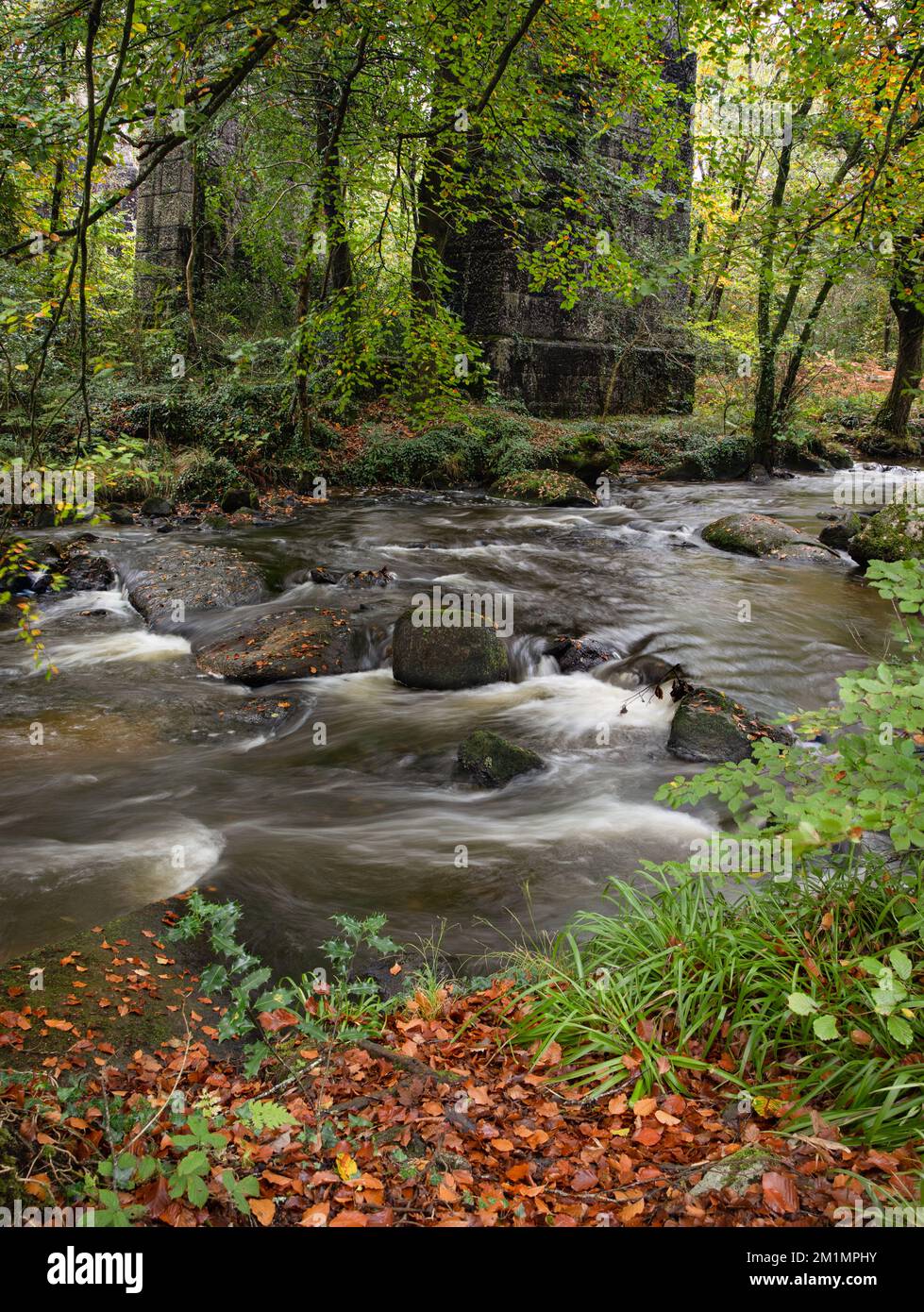 River Par (Dowr Gwernan) running through Luxulyan valley (Glyn Gwernan ...