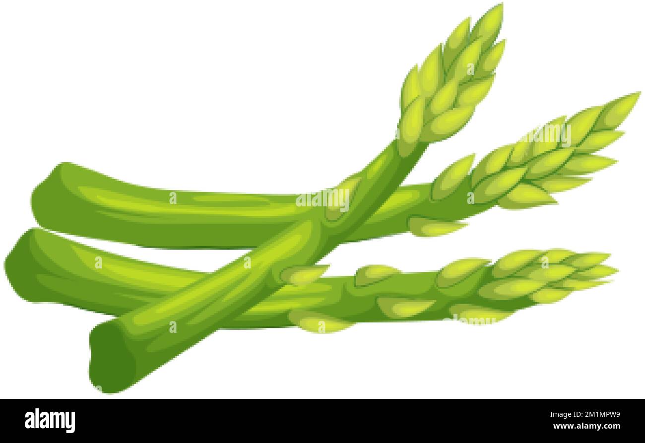 asparagus food cartoon vector illustration Stock Vector Image & Art - Alamy