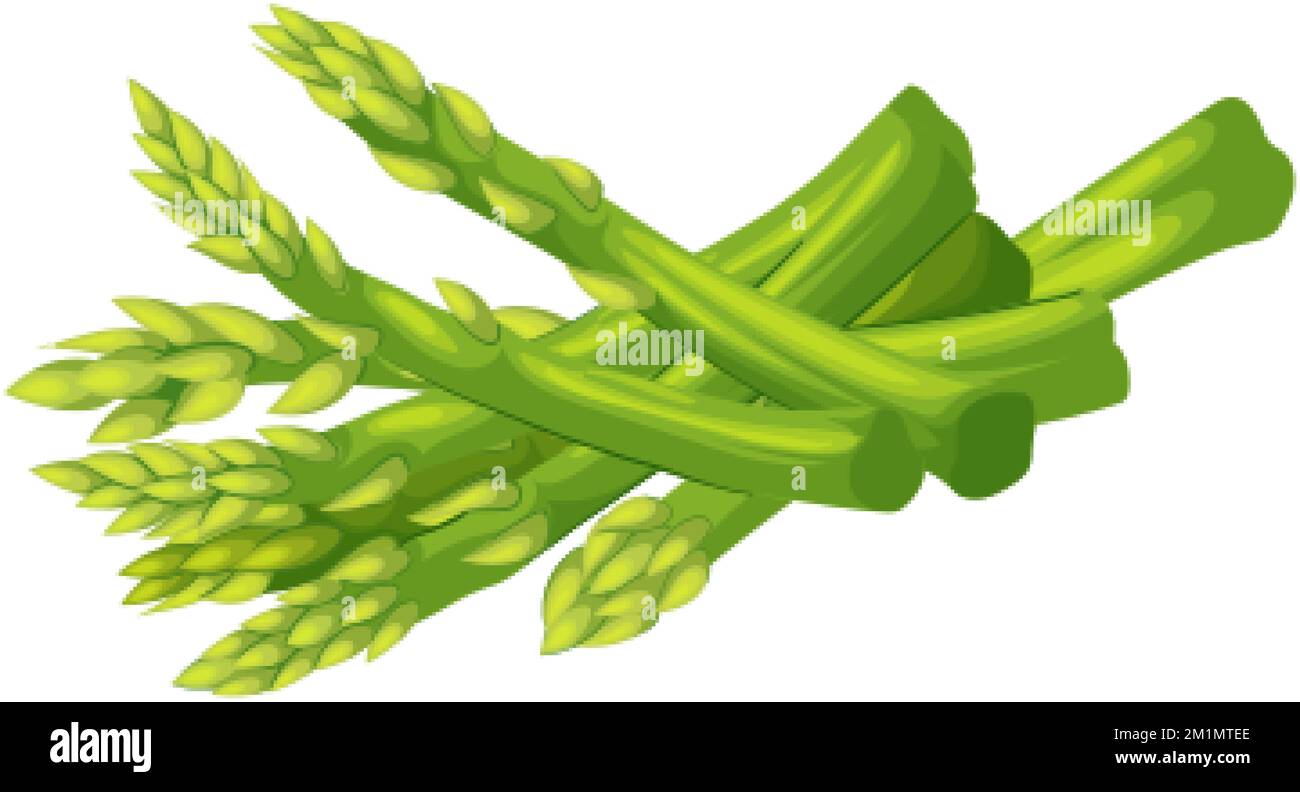 asparagus food cartoon vector illustration Stock Vector Image & Art - Alamy