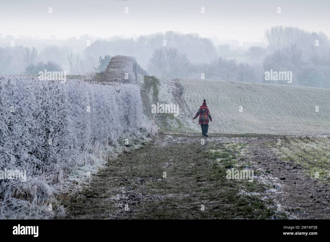 Thaxted Essex UK Winter Frost Walk 11 December 2022 Stock Photo - Alamy