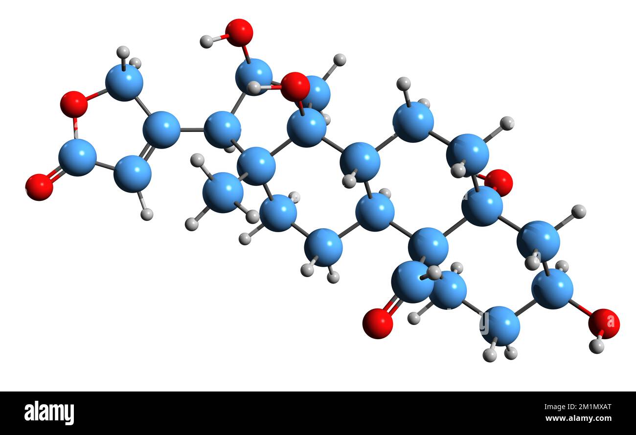 3D image of Strophadogenin skeletal formula - molecular chemical ...