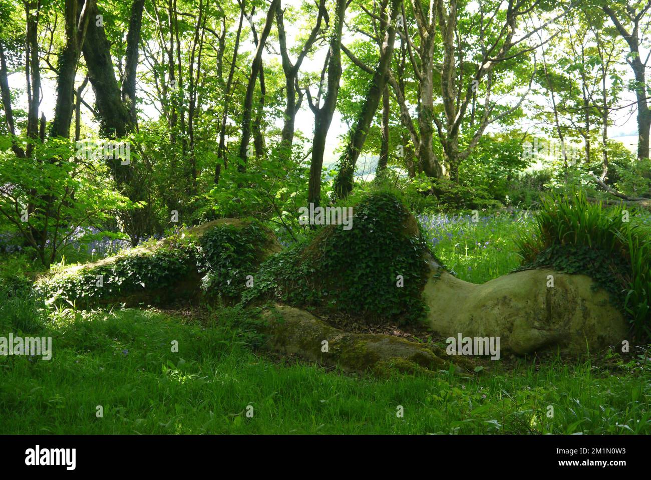 Mud Maid a Living Sculpture Lying Down Sleeping on the Floor in the ...
