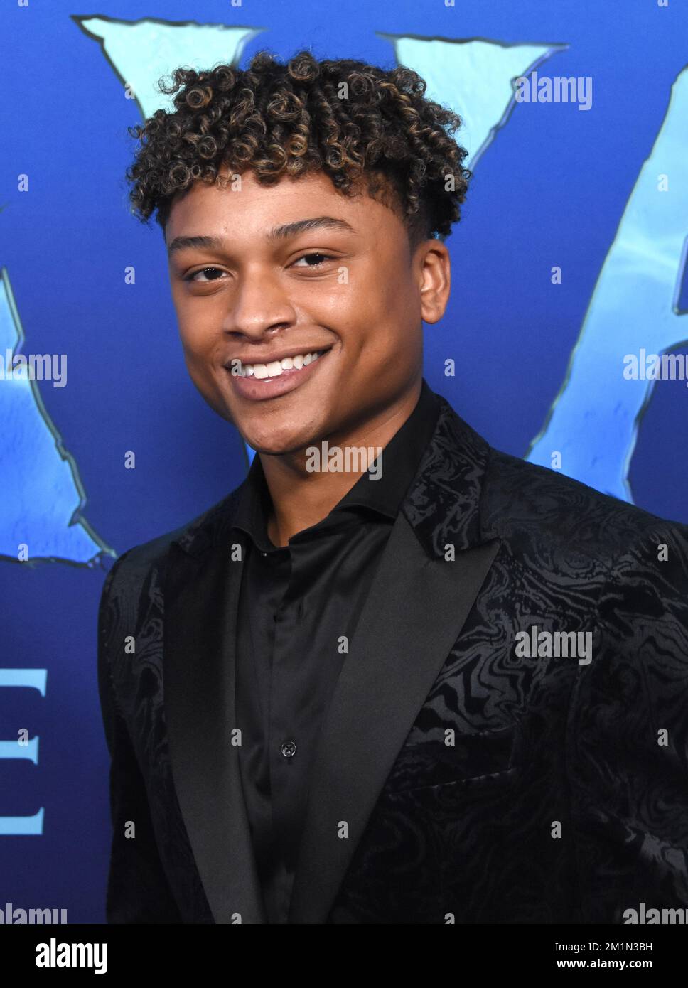 Hollywood, California, USA 12th December 2022 Andre Swilley attends ...