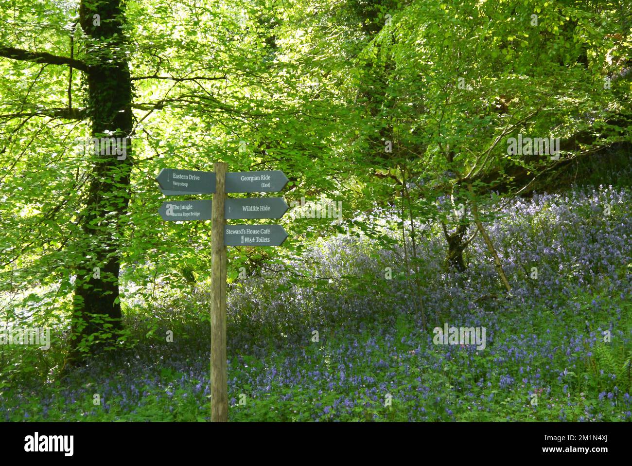 Heligan house lost gardens heligan hi-res stock photography and images ...