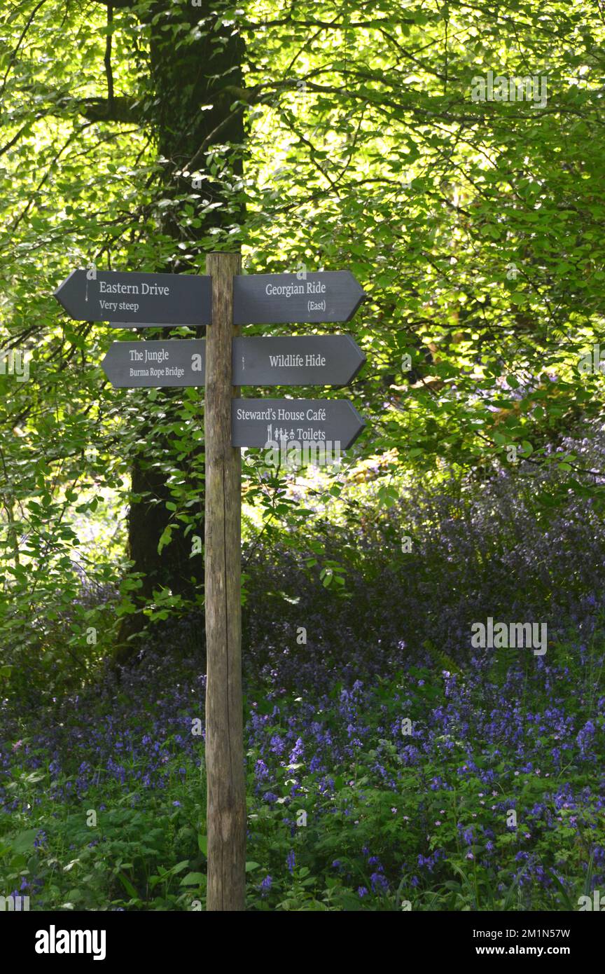 Wooden Signpost in the Woods at at the Lost Gardens of Heligan, St ...