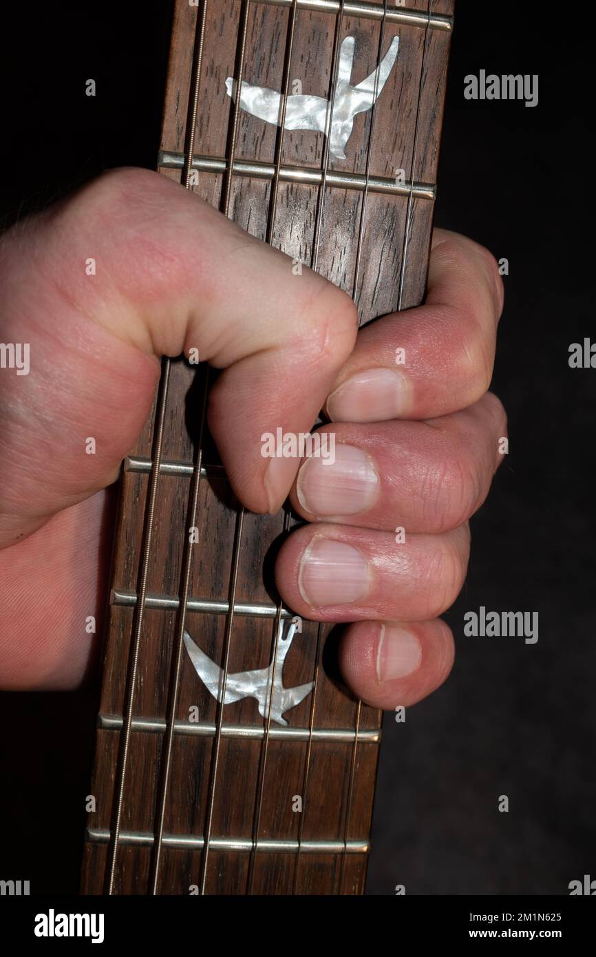 Prs icon hi-res stock photography and images - Alamy