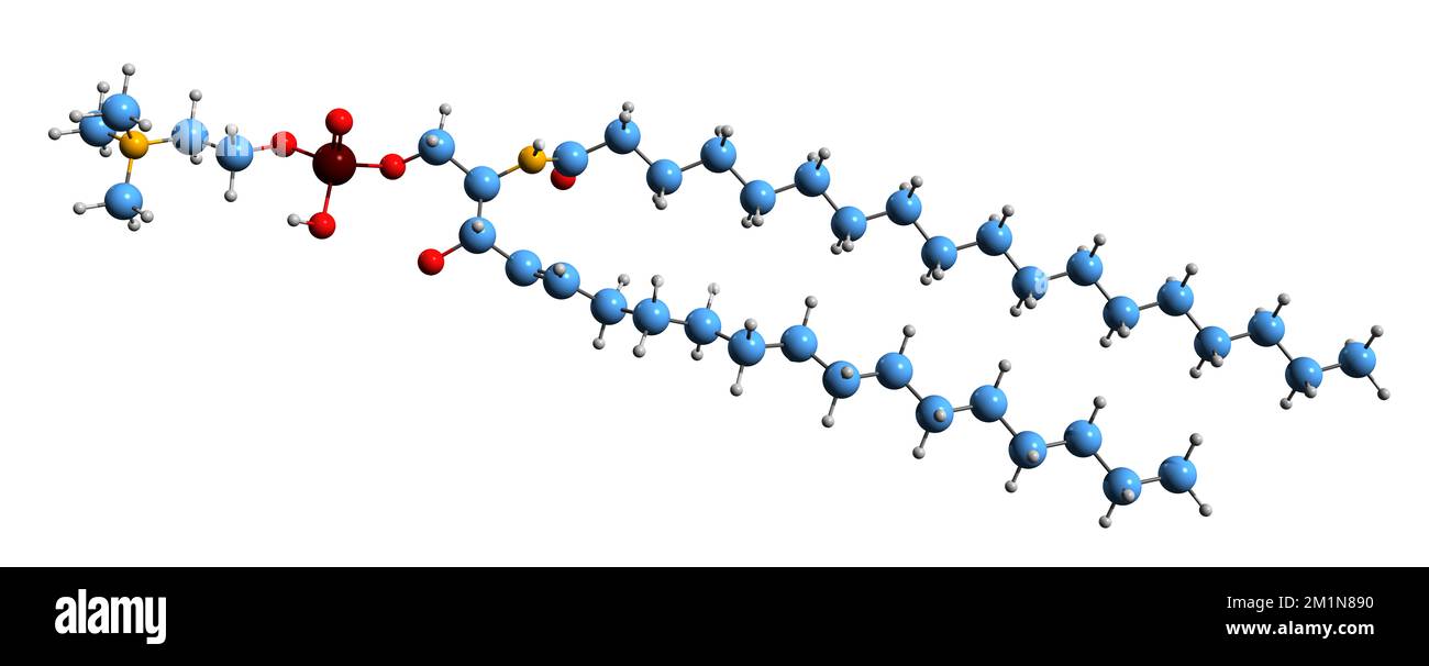 3D image of Sphingolipid skeletal formula - molecular chemical ...