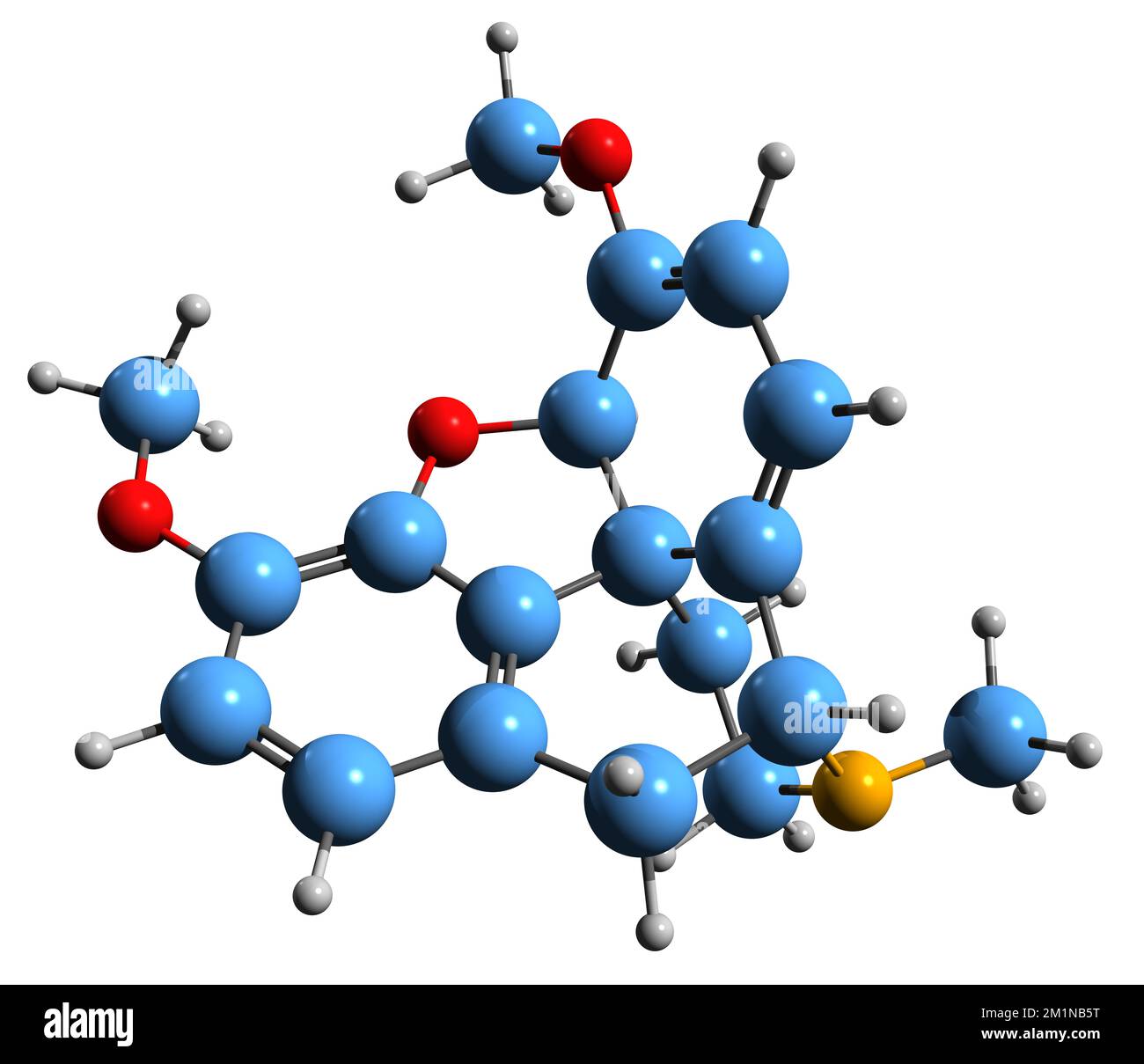 3D image of Thebaine skeletal formula - molecular chemical structure of paramorphine isolated on ...