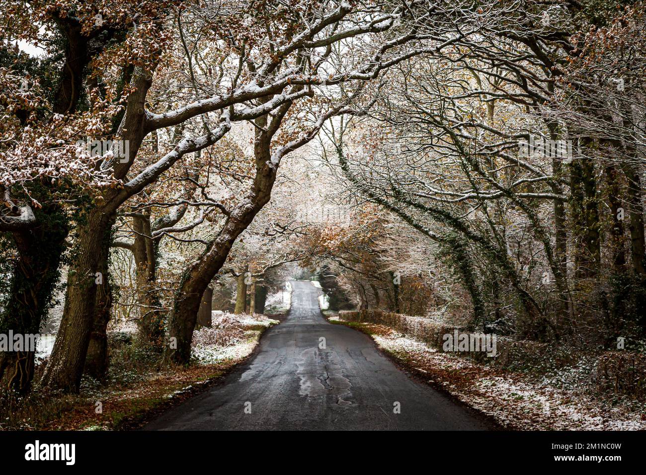 Deadmantree hill hi-res stock photography and images - Alamy