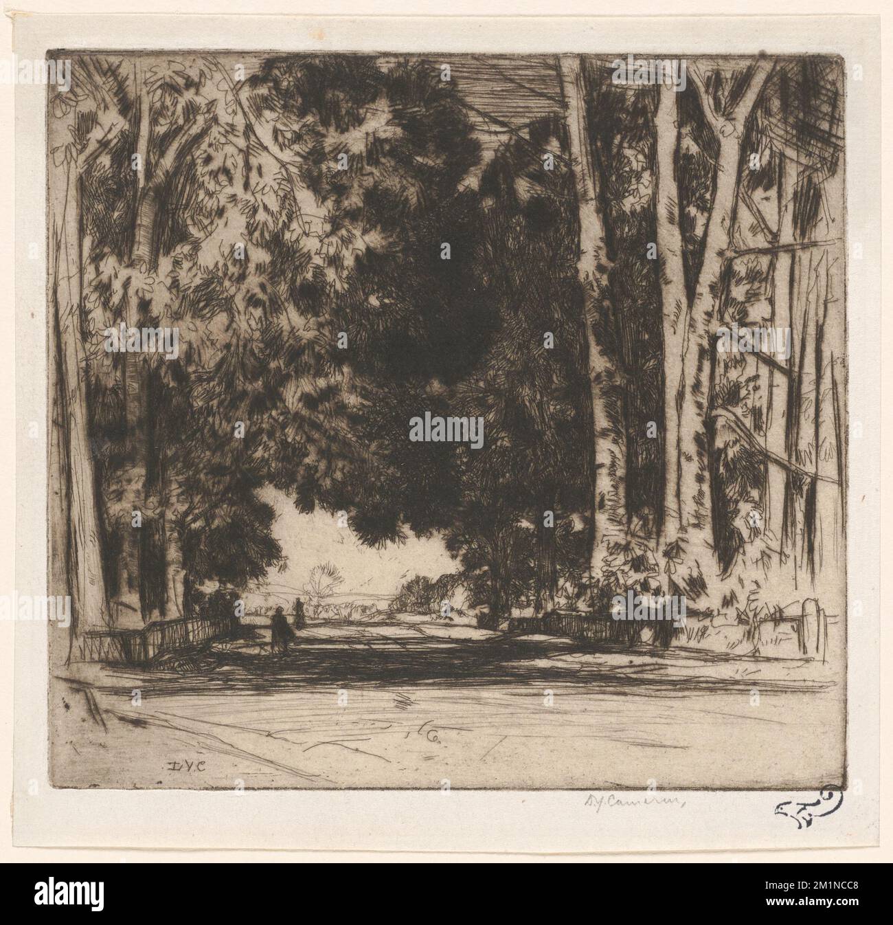 The avenue , Trees, Roads. Sir David Young Cameron (1865-1945). Prints ...