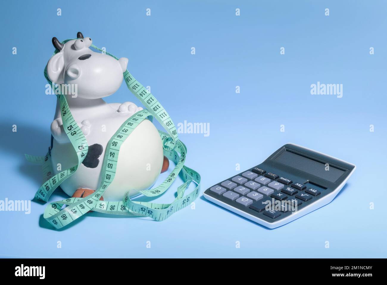 Calorie counting concept. Wellness state health advice. Fun composition ...