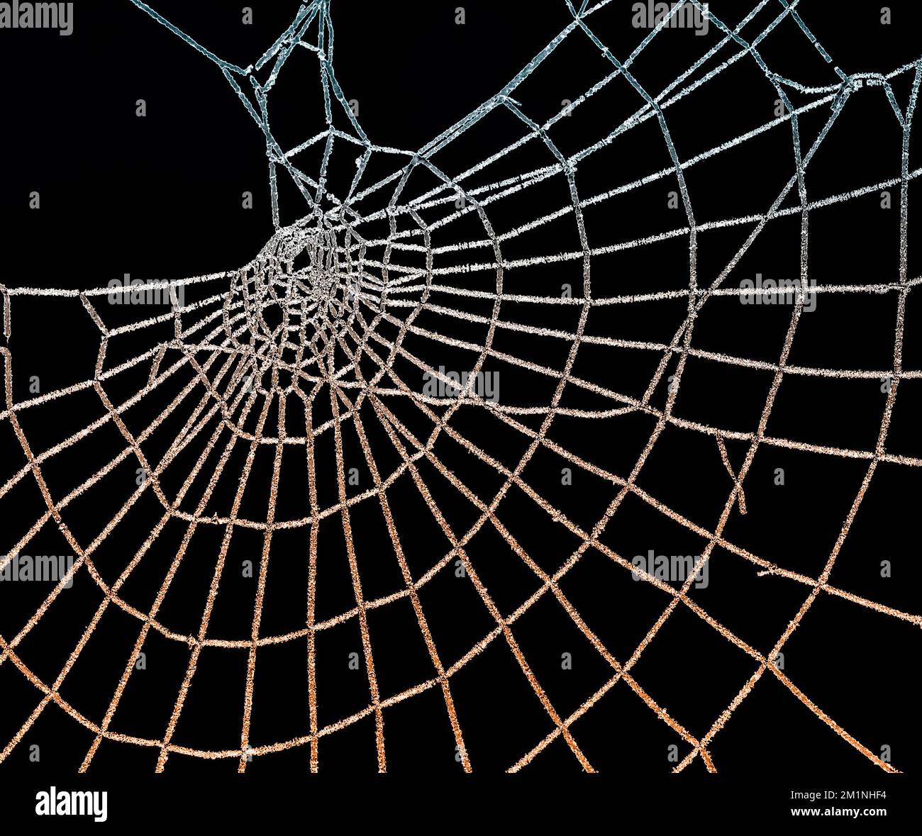 Frozen spider webs - a wintry scene Stock Photo - Alamy