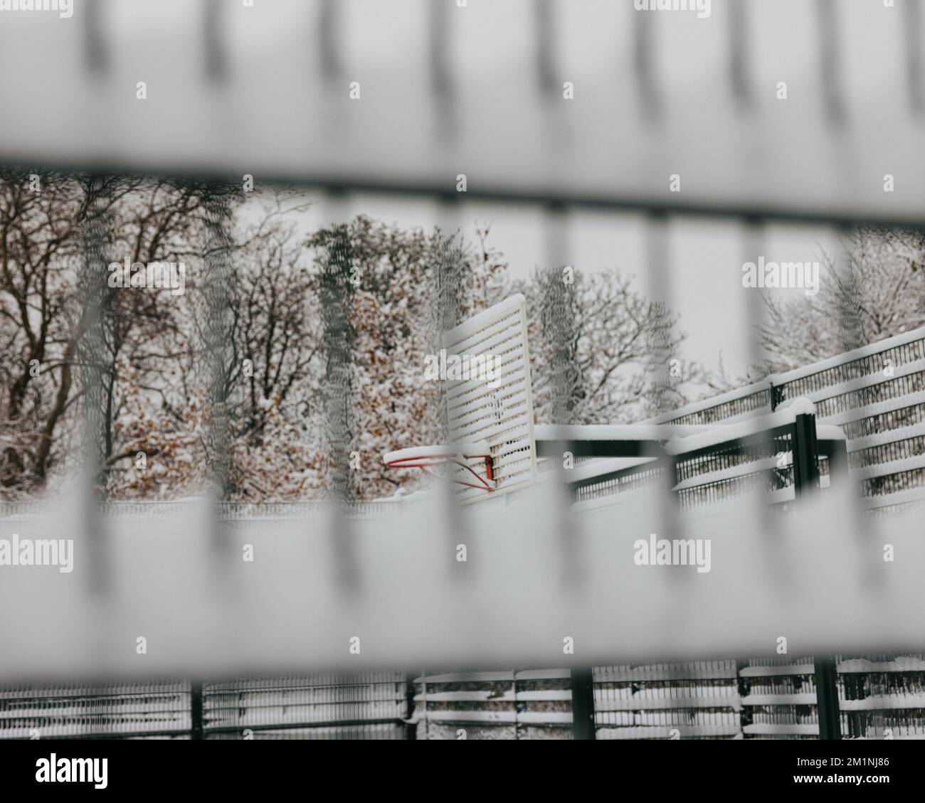 Views of snow on the outdoor basketball court in Clissold Park, Hackney ...