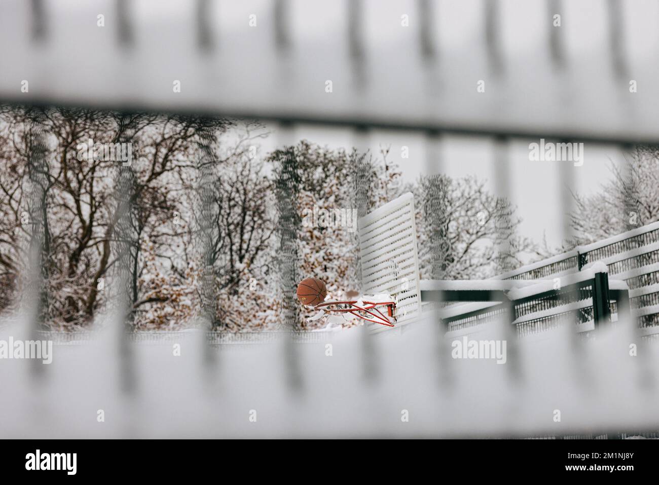 Views of snow on the outdoor basketball court in Clissold Park, Hackney ...