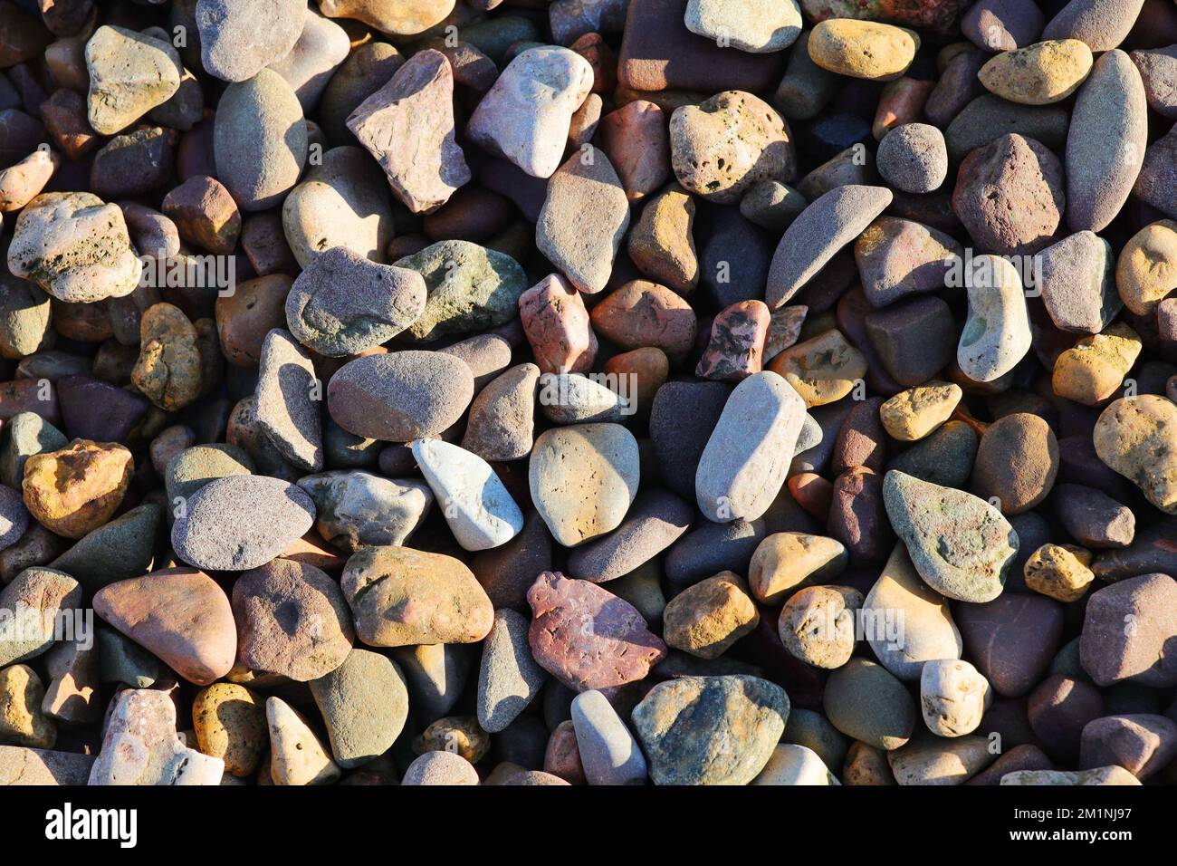 Pebbles on Lyme Regis Beach Stock Photo - Alamy