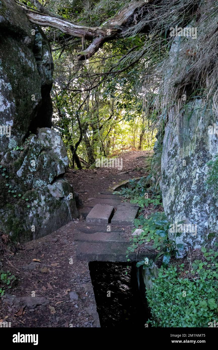 Levada hike from Ribeiro Frio in Maderia Stock Photo - Alamy