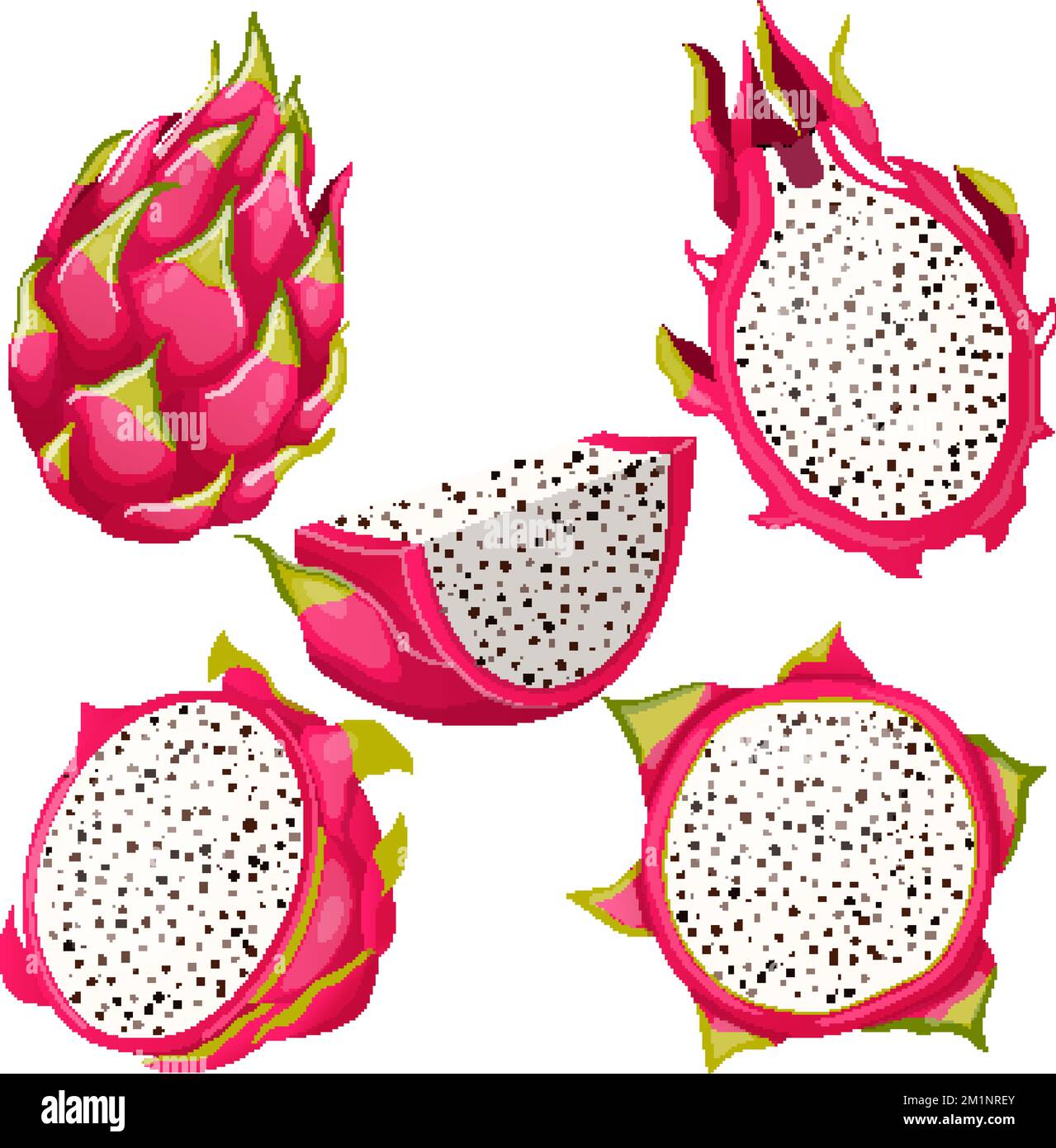 dragon pitaya fruit set cartoon vector illustration Stock Vector Image ...