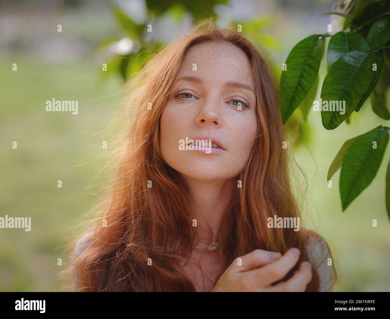 Beauty Woman Face With Healthy Skin And Green Plant at sunset time ...