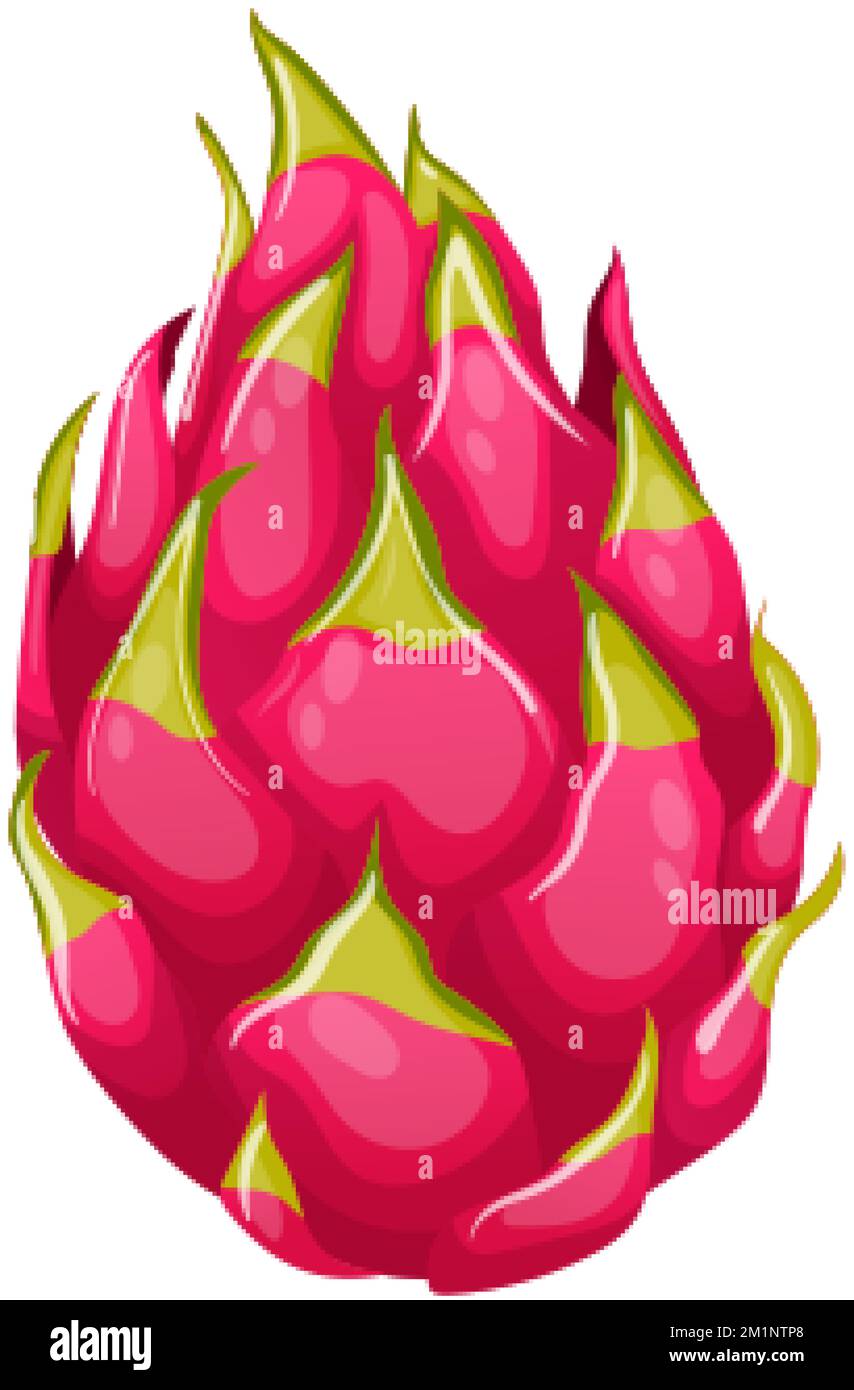 dragon fruit cartoon vector illustration Stock Vector Image & Art - Alamy
