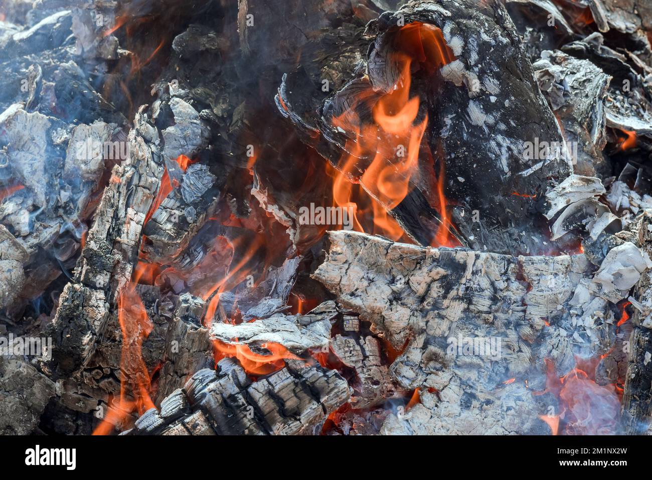Ash embers of bonfire after fire has been burned wood prepared for BBQ ...