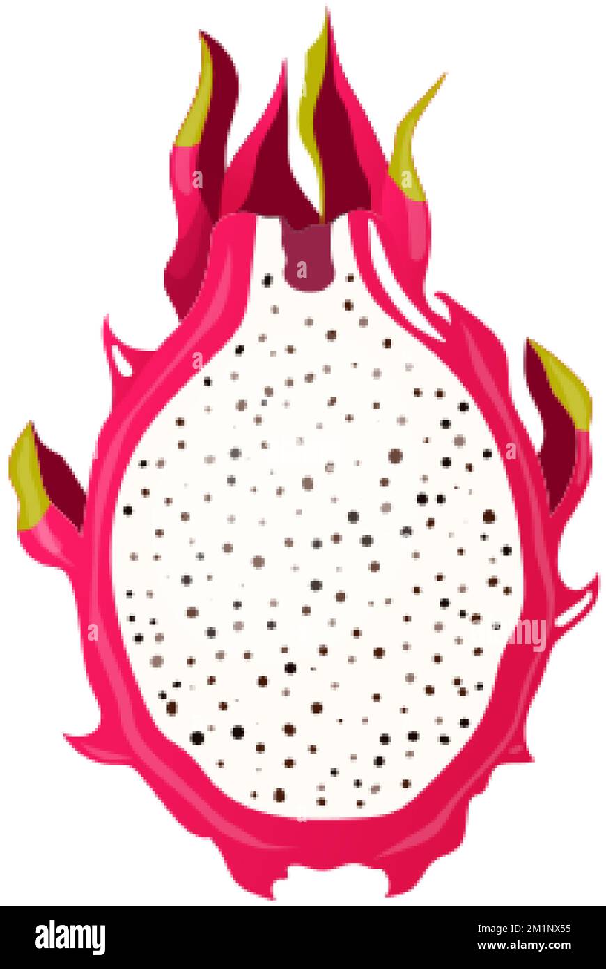 dragon fruit cut cartoon vector illustration Stock Vector Image & Art ...