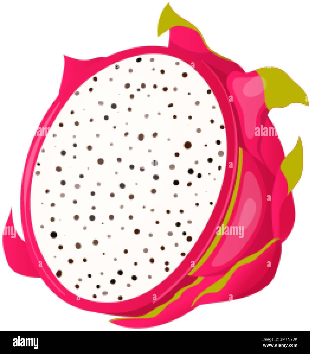 dragon fruit slice cartoon vector illustration Stock Vector Image & Art ...