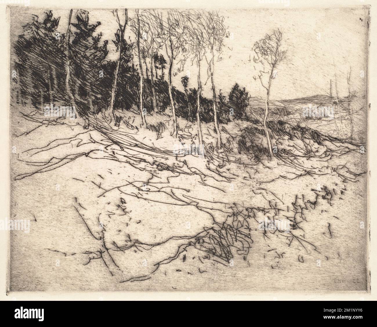 Bad lands , Trees, Badlands. Charles H. Woodbury (1864-1940). Prints ...
