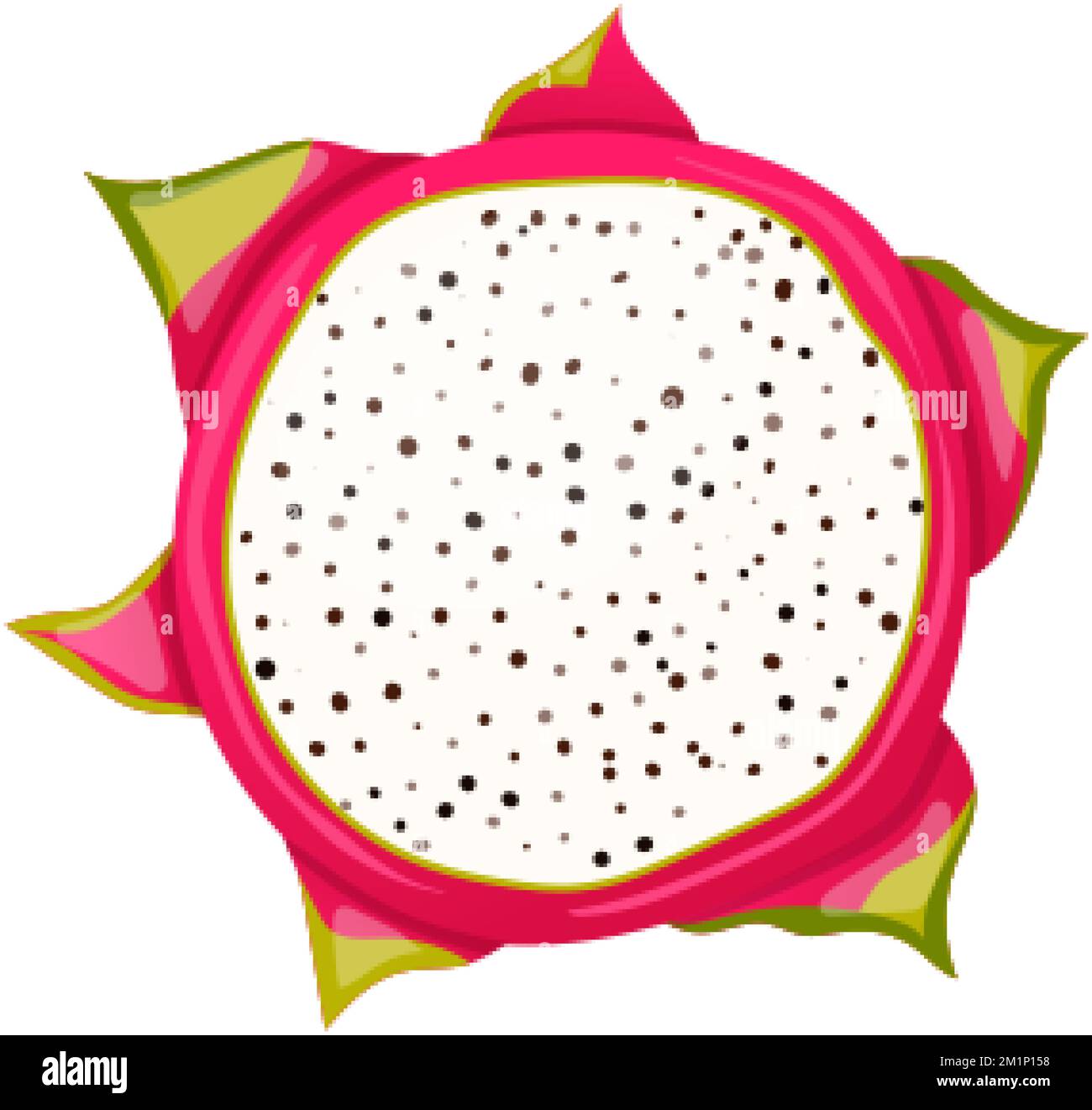 dragon fruit cut cartoon vector illustration Stock Vector Image & Art ...
