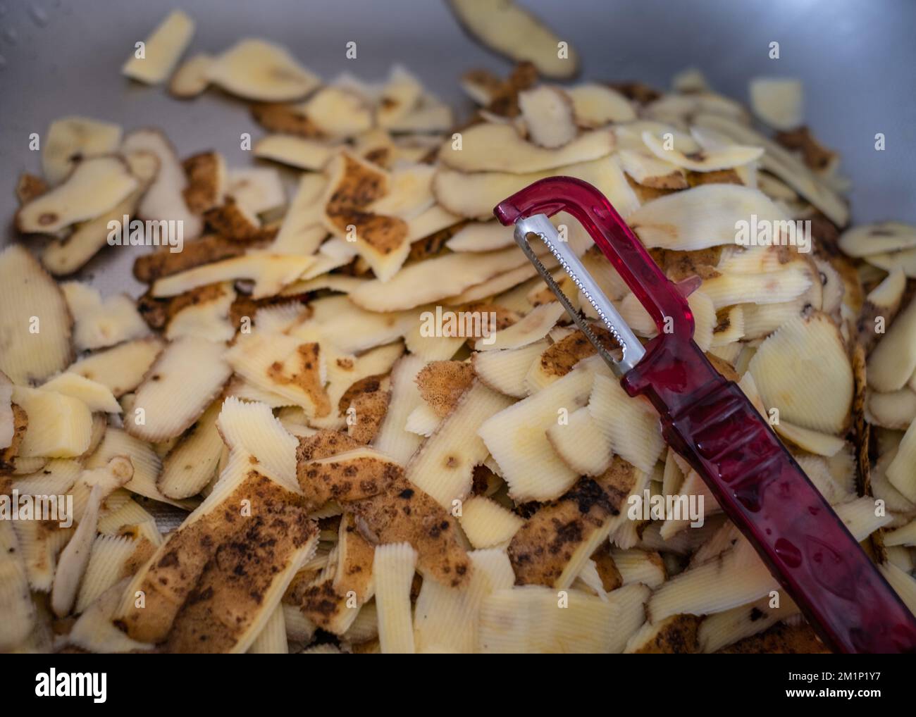 Fresh potatoes peels and a small vegetable knife. Household ...