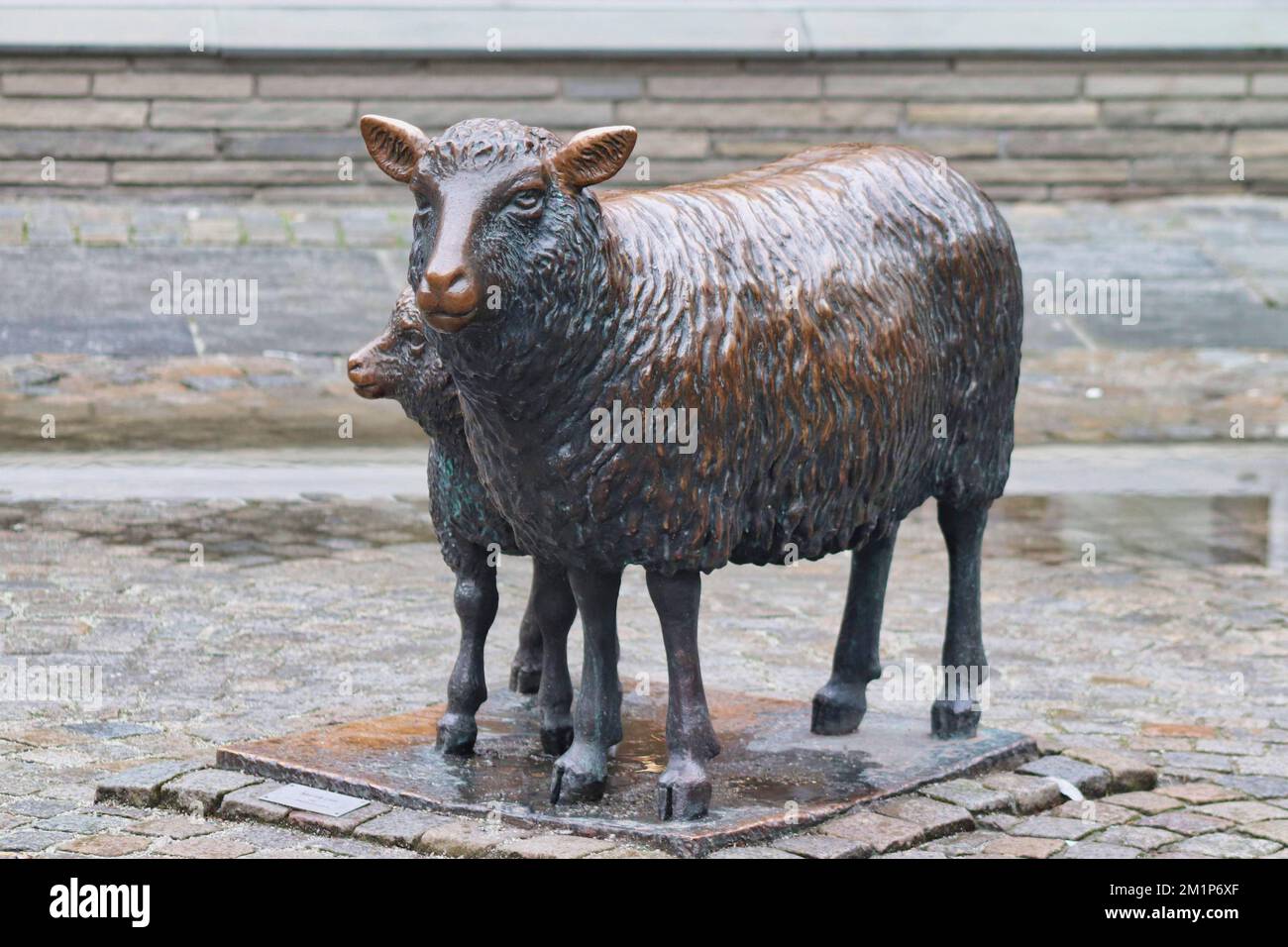 bronze sheep with lamb in street of stavanger Stock Photo - Alamy