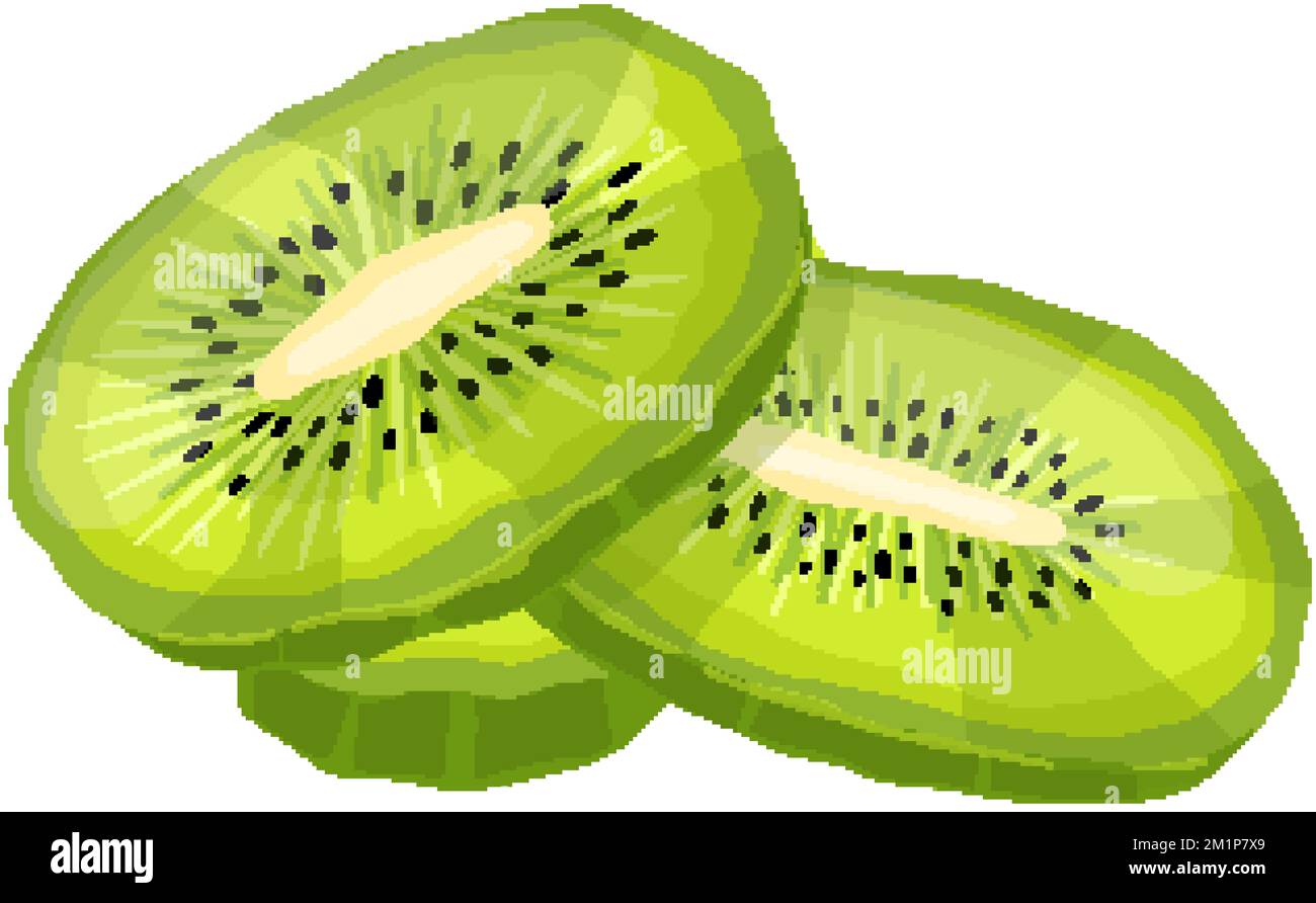 kiwi dried fruit cartoon vector illustration Stock Vector Image & Art ...